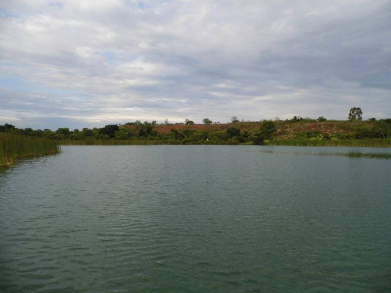 Um Breve Manifesto Sobre o Povo Payayá – Teia dos Povos